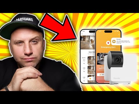 Watch BEFORE Buying The Petcube Cam 360!