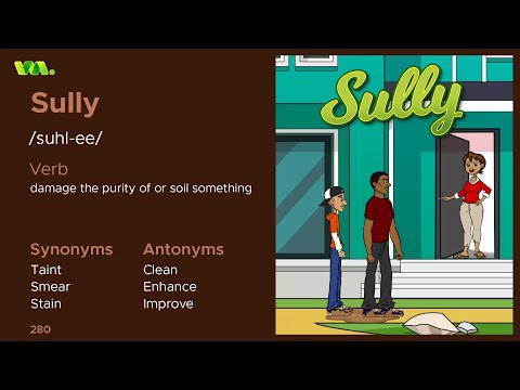 NovoBrain welcomes you to the world of "Vocabimate" - learn the word "Sully"