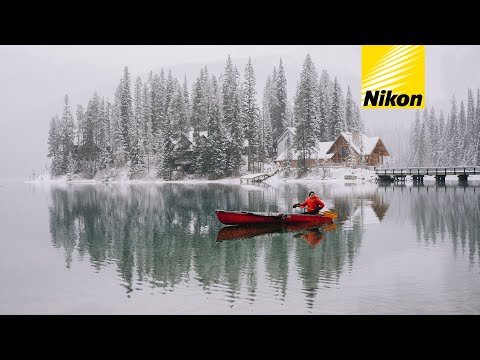 Nikon Z6 II review: Sample photos and videos (VOA060AE)
