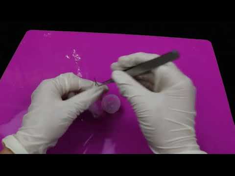 Silicone Molds, Resin Casting Molds, Sphere Mold(DIY-G008-05A)#pandahall #diy #diycrafts #mold #asmr