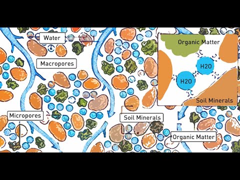 The importance of soil structure for crop production