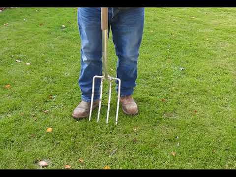 Aerating the Lawn