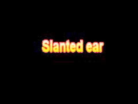 What Is The Definition Of Slanted ear Medical School Terminology Dictionary
