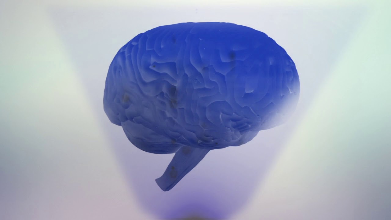 Aprendizaje, memoria, educación.