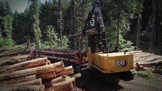FM558 Forest Machine | FM558 General Foresty (GF) | FM558 Log Loader ...