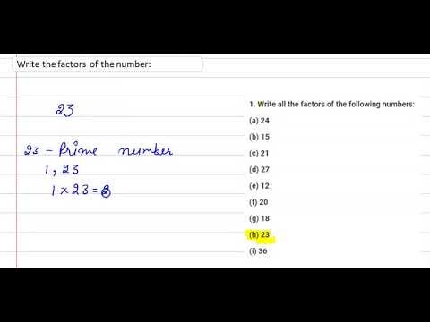 Write the factors of the number: 23
