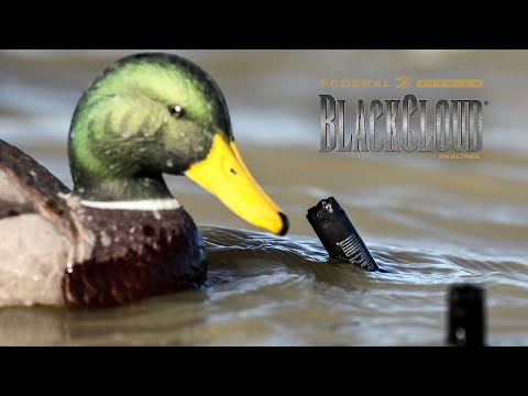 Best of Duck Hunts from 2023-2024 Season | Part 1 | Black Cloud