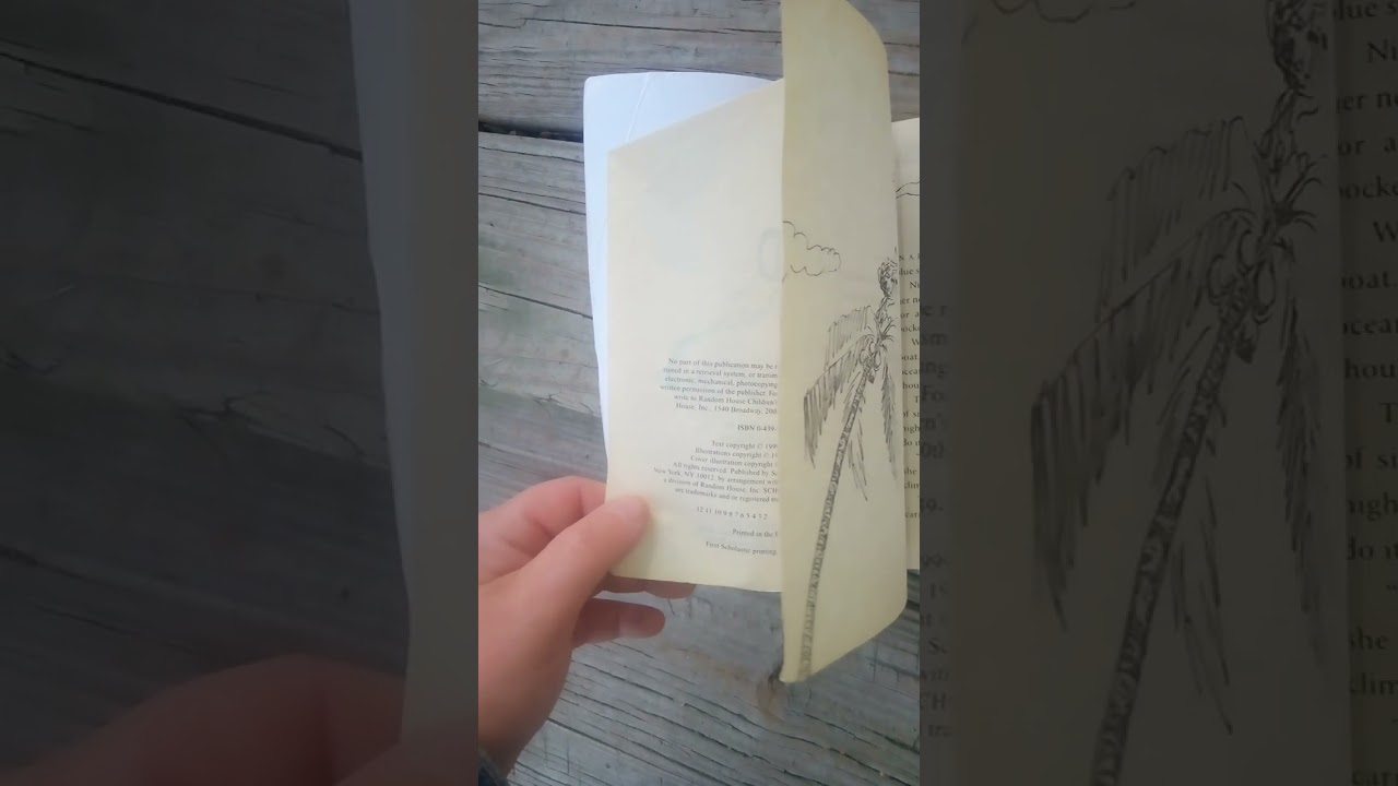 2007 Nim's Island scholastic book!