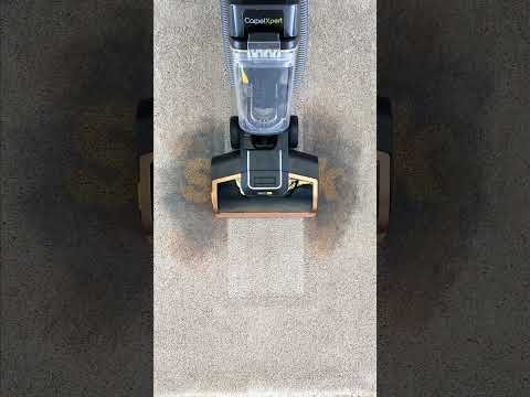 Shark® CarpetXpert™ HairPro® with StainStriker™