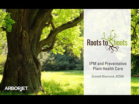IPM and Preventative PHC Webinar