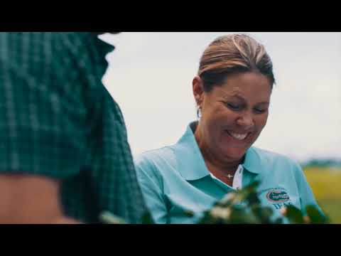 UF/IFAS Extension: What is IFAS?