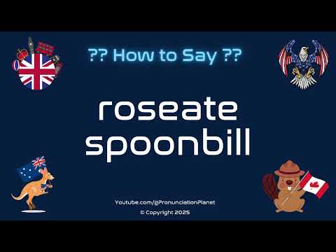 🌺 🥄 How to Pronounce roseate spoonbill? (CORRECTLY) | Pronunciation Planet