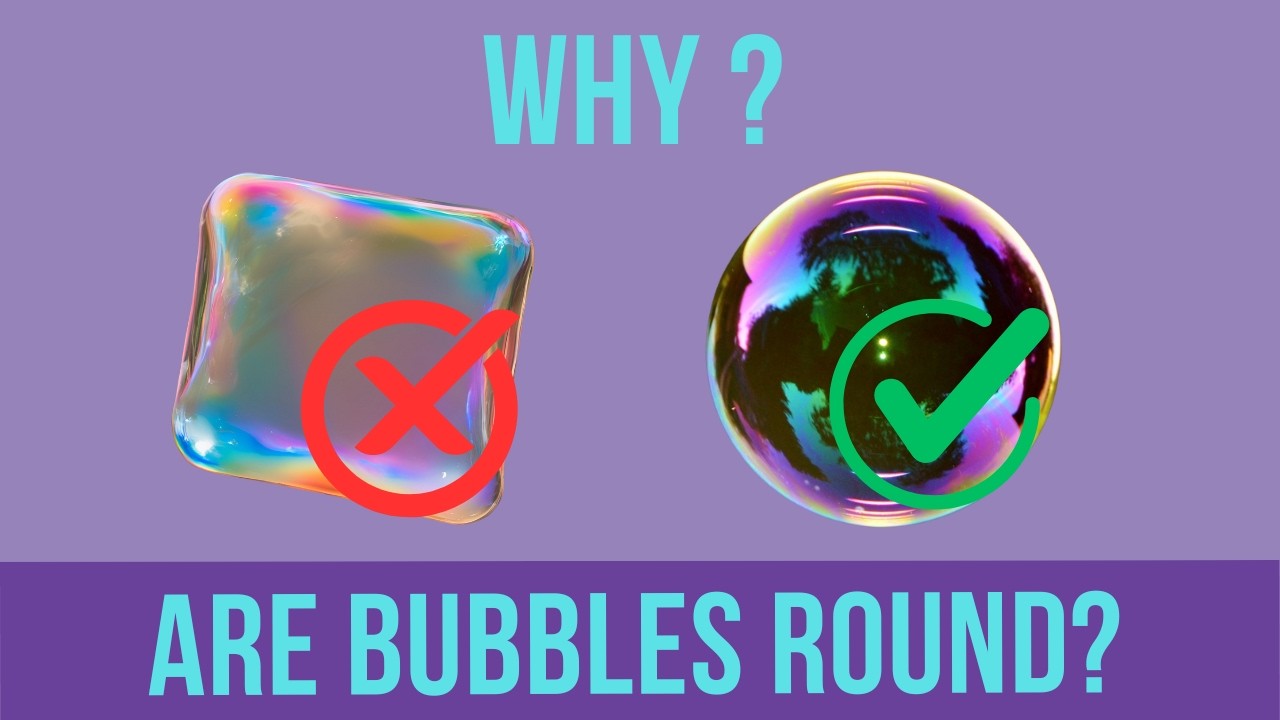 Why Are Bubbles Always Round?