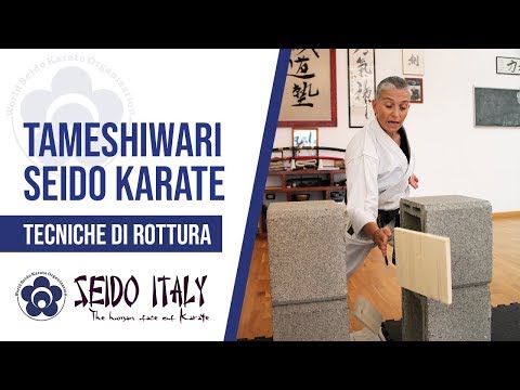 Seido Karate Italy - Tameshiwari (tecniche di rottura)