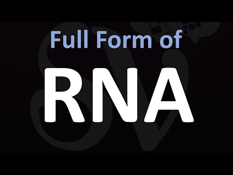 RNA Full Form | RNA Meaning