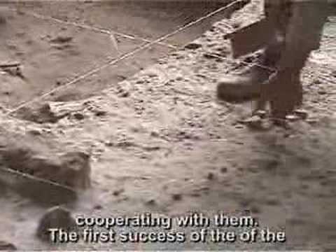 Ancient wine production