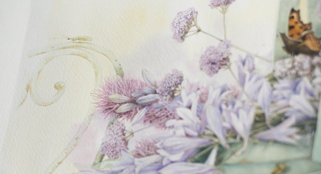Insights from Nature's Sketchbook Artist Marjolein Bastin