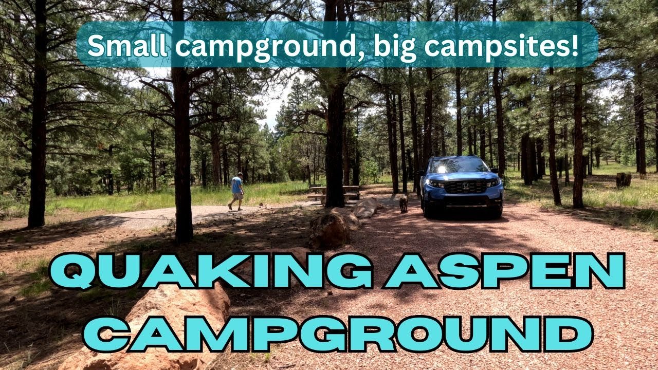 Quaking Aspen Campground - What a Surprise!  Our campground review!