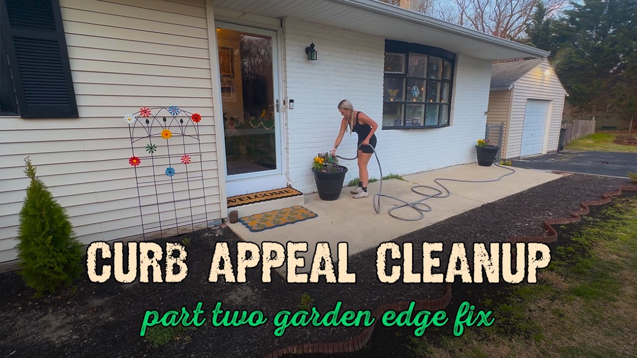 Part 2: Curb Appeal Cleanup | Clearing Last Year’s Growth + Lawn Repair