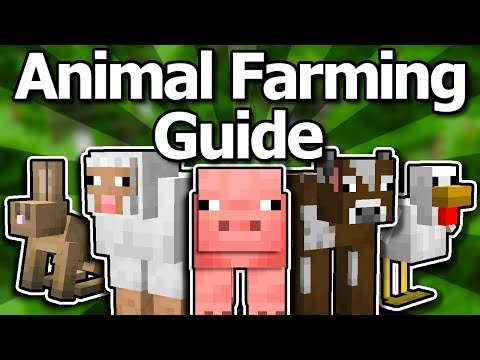 Ultimate Minecraft 1.21 Animal Farming Guide - Auto Farm Pig, Sheep, Cow, Rabbit & Chicken