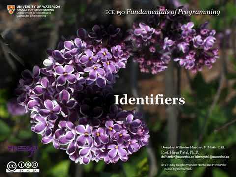 1.04 Identifiers