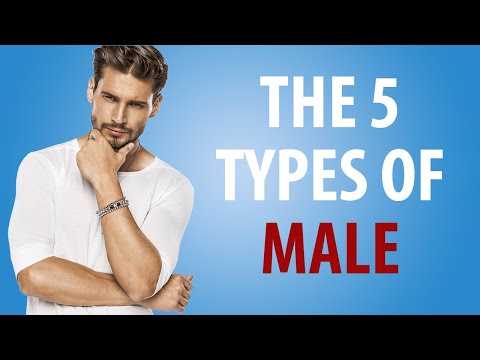 5 Male Personality Types : Which One Are You? (Alpha, Beta, Omega, Gamma, Sigma)