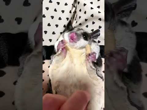 cute❤