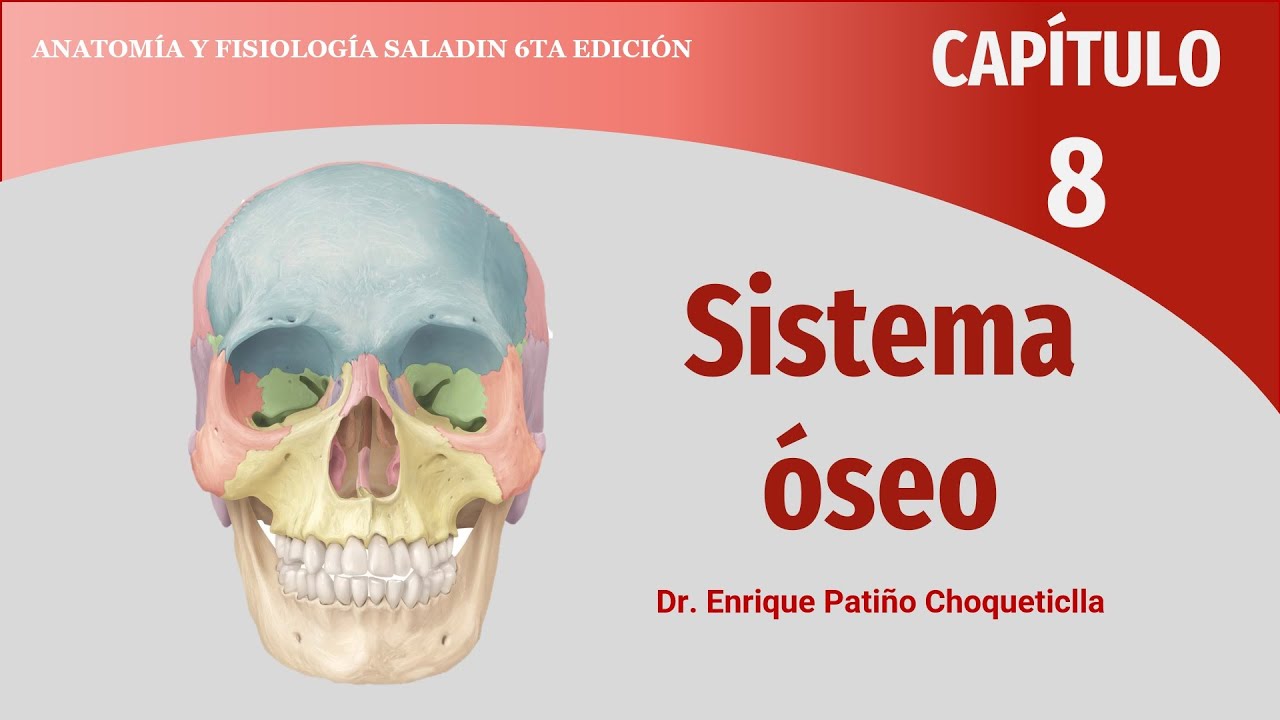 Capítulo 8 Sistema Óseo