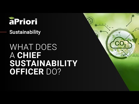 What Does a Chief Sustainability Officer Do?