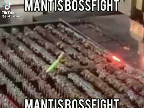 Steam Community :: Video :: mantis bossfight