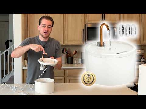 Best automatic cat water fountain review: Top Picks 2026