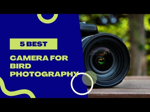 TOP 3 Best Camera for Photography 2022