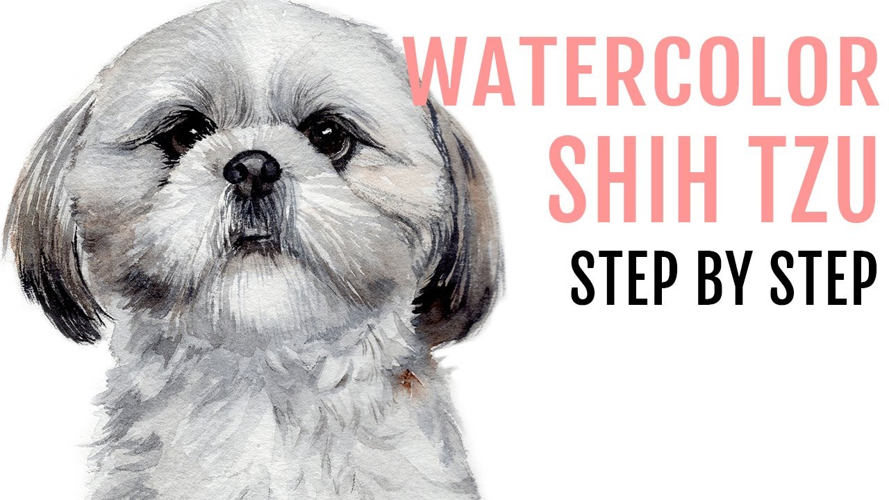 Watercolor Dog Painting Tutorial - How to Paint a Realistic Shih Tzu
