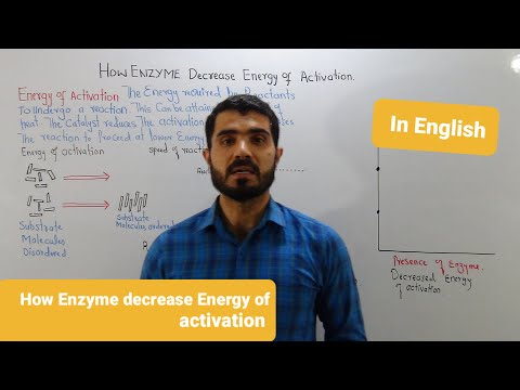 How Enzyme decrease Energy of activation Explaining with graph