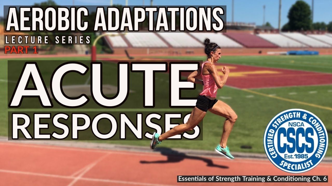 Acute Responses to Aerobic Training | CSCS Chapter 6