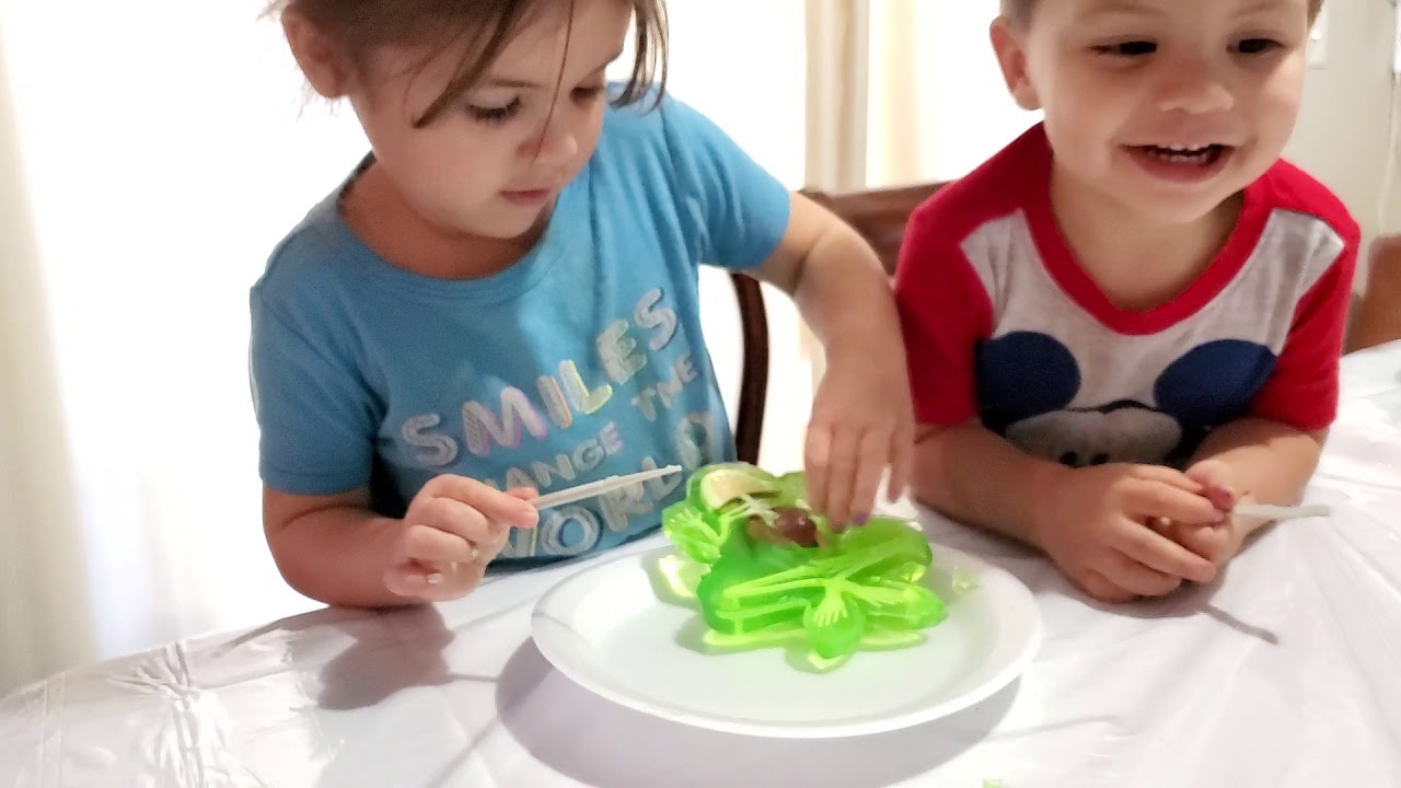 Unboxing Dissect It Frog Lab