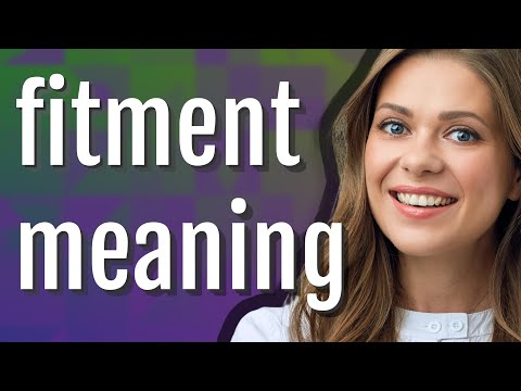 Fitment | meaning of Fitment