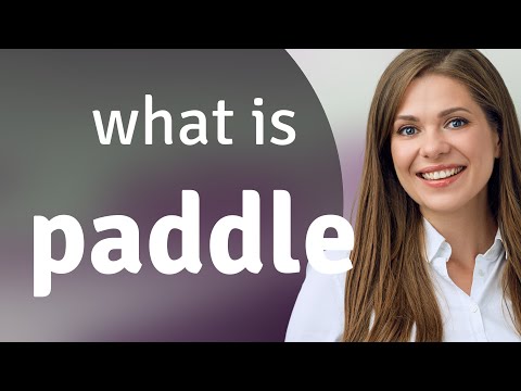 Paddle — what is PADDLE meaning