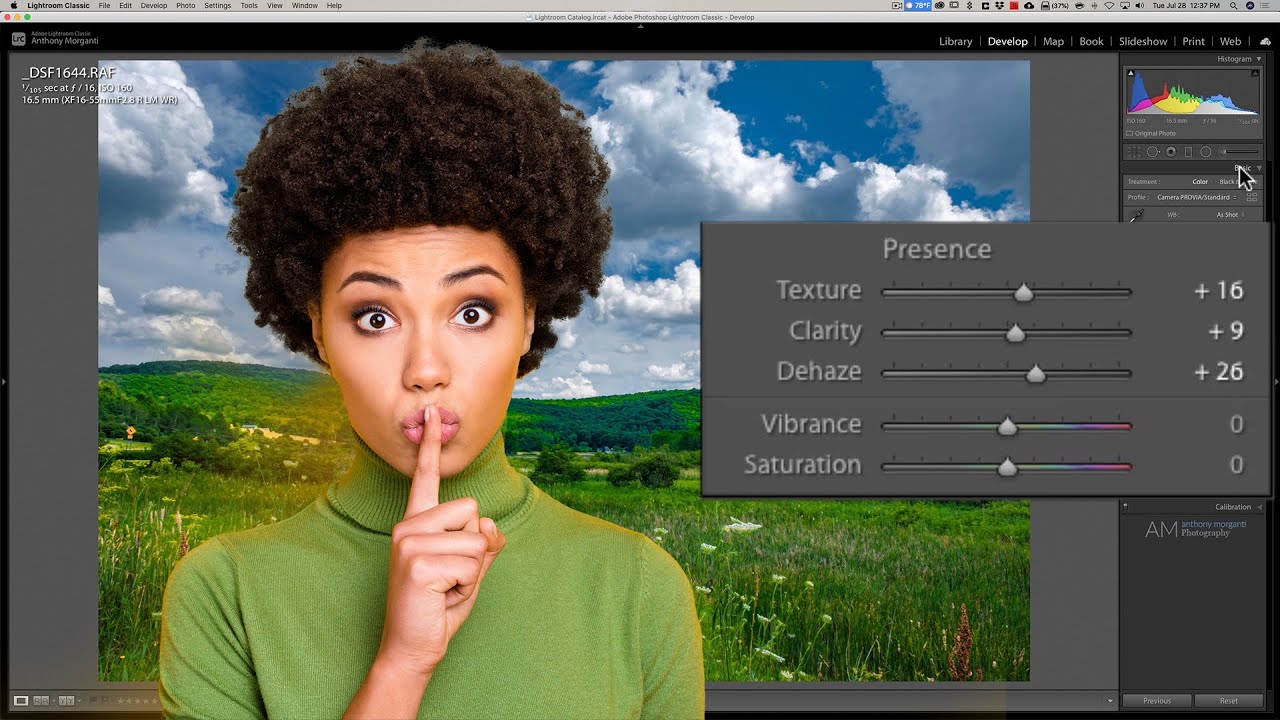 PRO's Secret - We Rarely Move the VIBRANCE & SATURATION Sliders