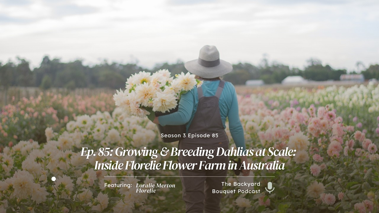 Ep. 85: Growing & Breeding Dahlias at Scale: Inside Florelie Flower Farm in Australia