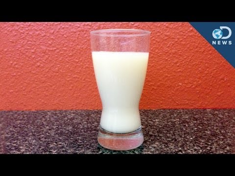 Stop Eating Food: The Soylent Experiment
