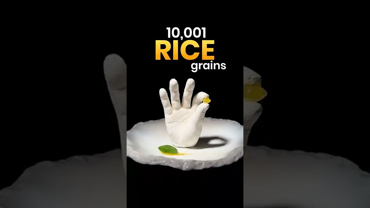 10,001 Rice grains for 1 Hand...