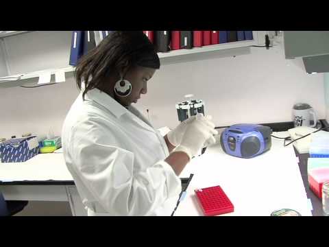 LeAndrea Wilson - Research