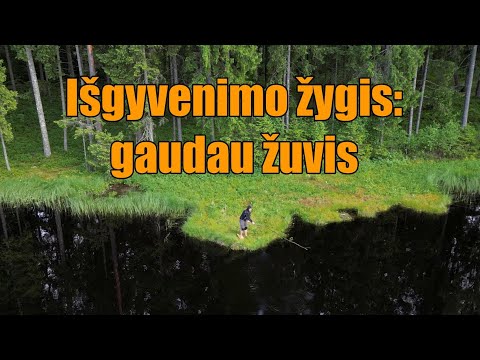 Išgyvenimo žygis be maisto: žvejoju ir uogauju. Antra diena.