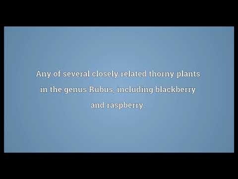 Bramble Meaning