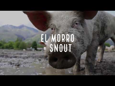Daily Spanish | Planet Earth or El Planeta Tierra