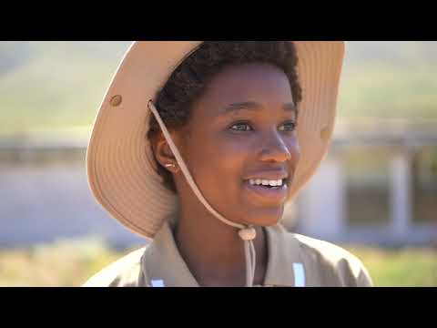 Prevent the spread of the Shot Hole Borer - Respect Nature Eps 5