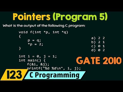 Learn Pointers Program 5 - Mind Luster