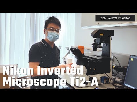 Inverted Microscope - Culture Microscope Latest Price, Manufacturers ...