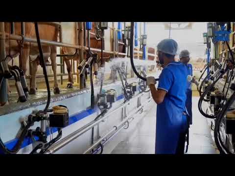 Everything at Mr. Milk farm is carefully thought of so that you get the milk you deserve. | Mr. Milk